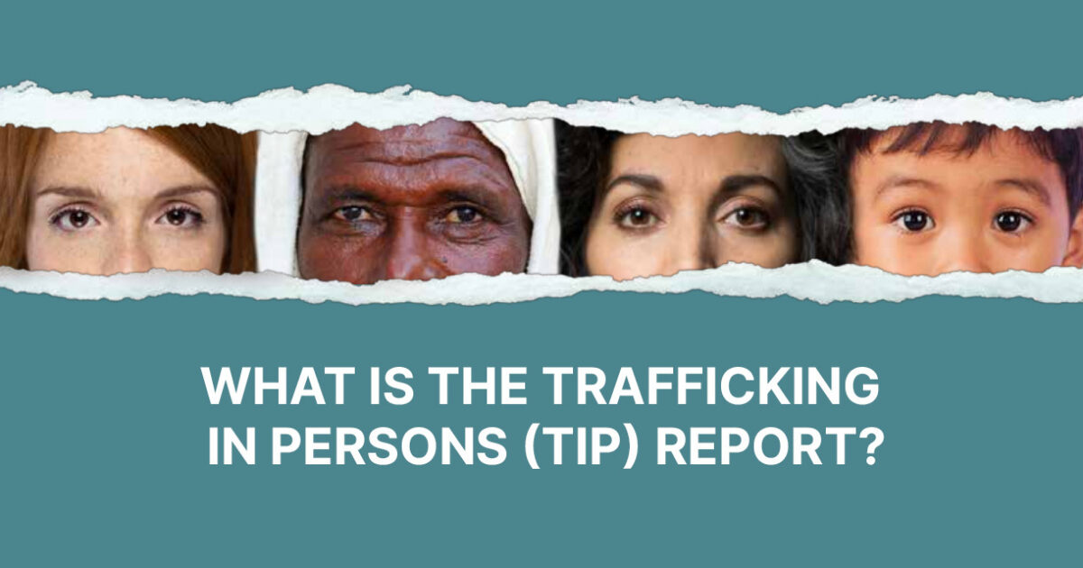 What is the TIP Report?