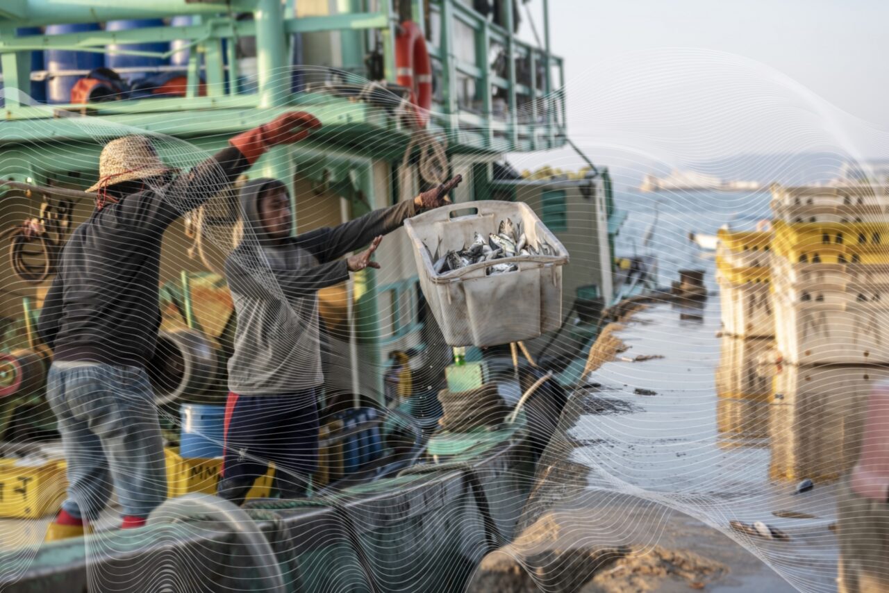 Turning the Tide on Slavery in the Thai Fishing Industry ...